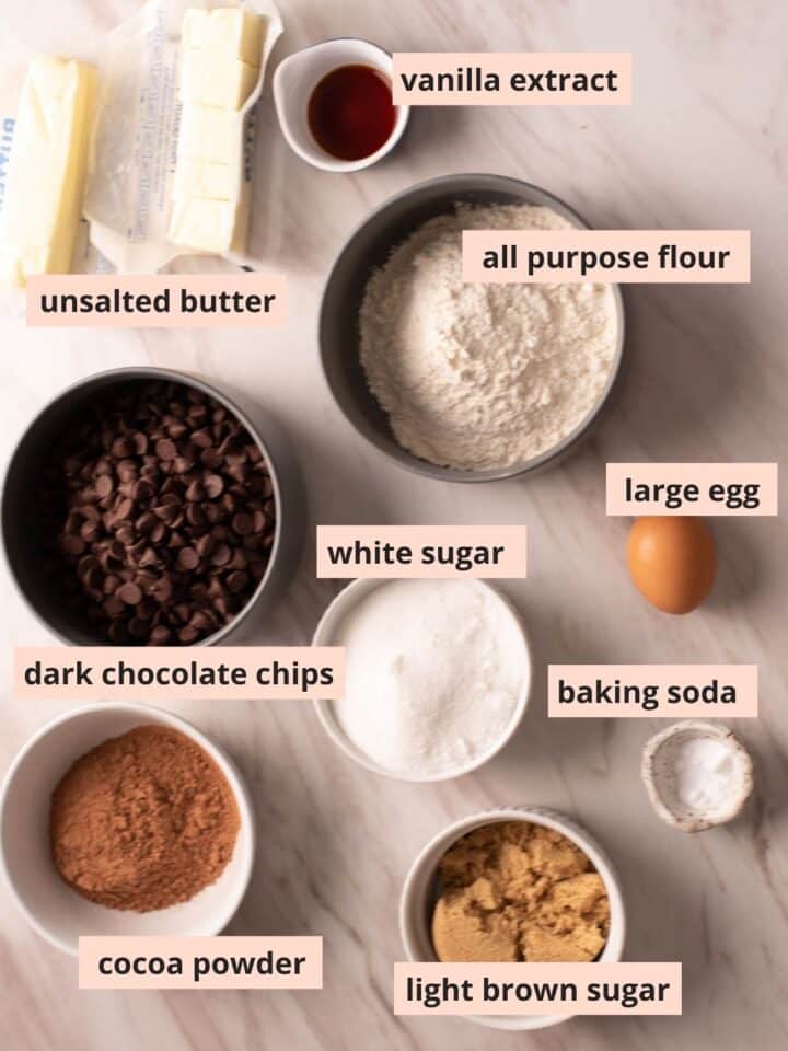 Chocolate Chocolate Chip Cookies - Cozy Peach Kitchen