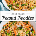 Cold Peanut Noodle Salad Cozy Peach Kitchen