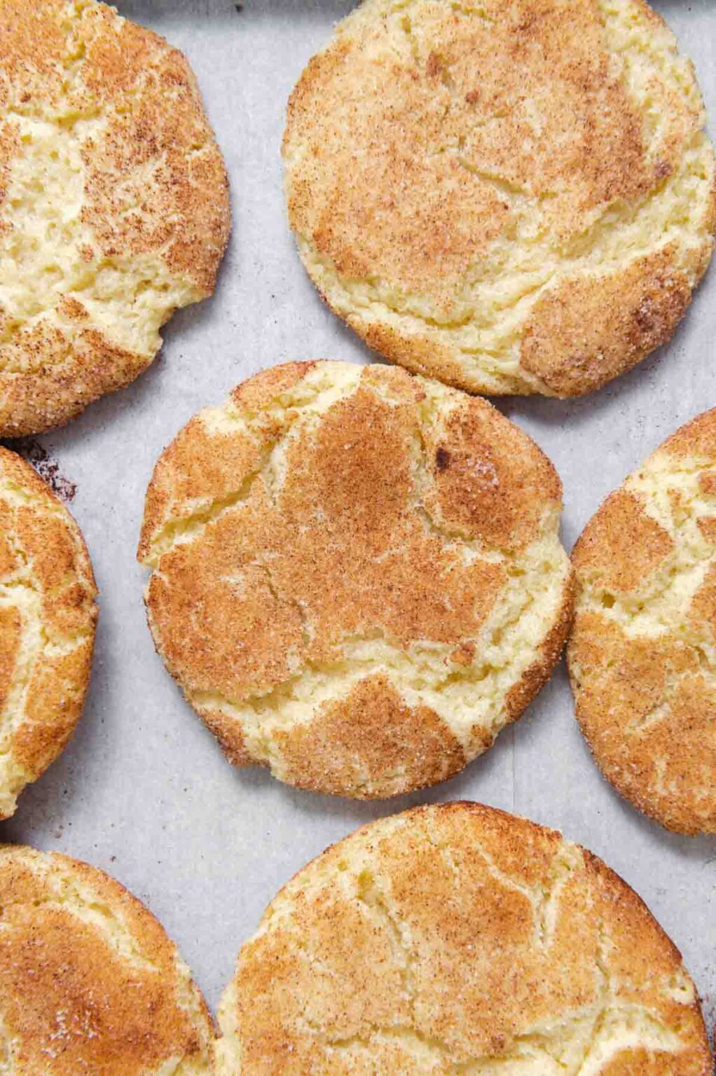 Snickerdoodle Cookies - Cozy Peach Kitchen