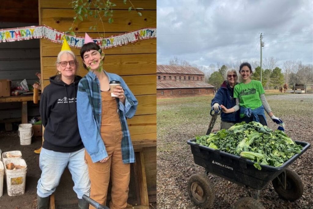 Lynn's Desserts Series - Cozy Peach Kitchen