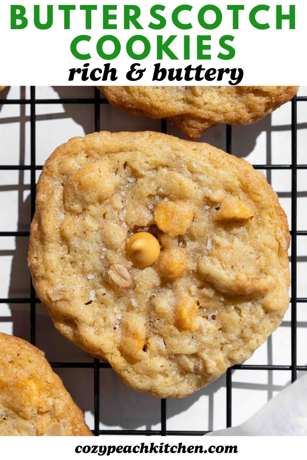 Oatmeal Butterscotch Chip Cookies - Cozy Peach Kitchen