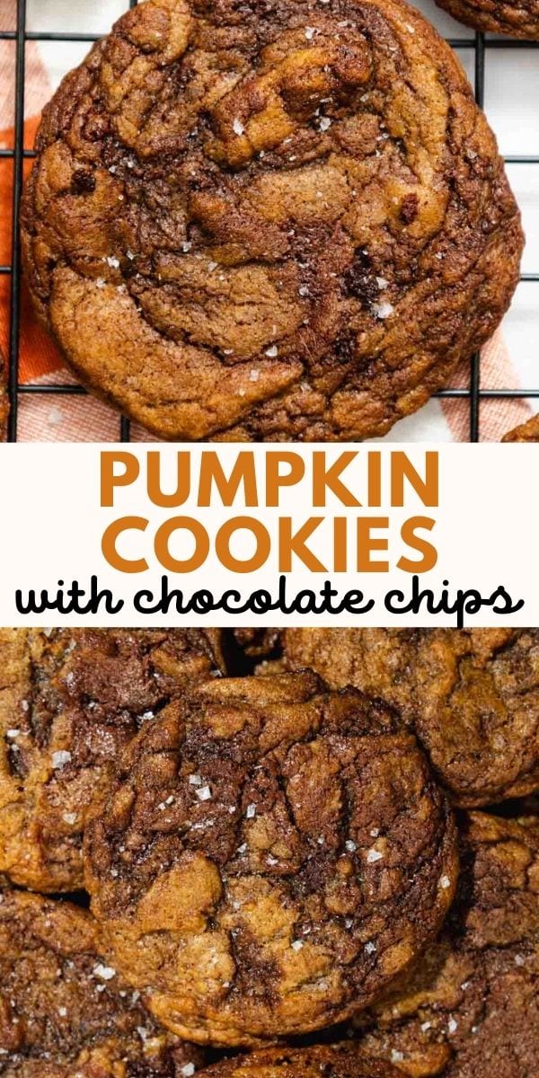 Chewy Pumpkin Chocolate Chip Cookies - Cozy Peach Kitchen